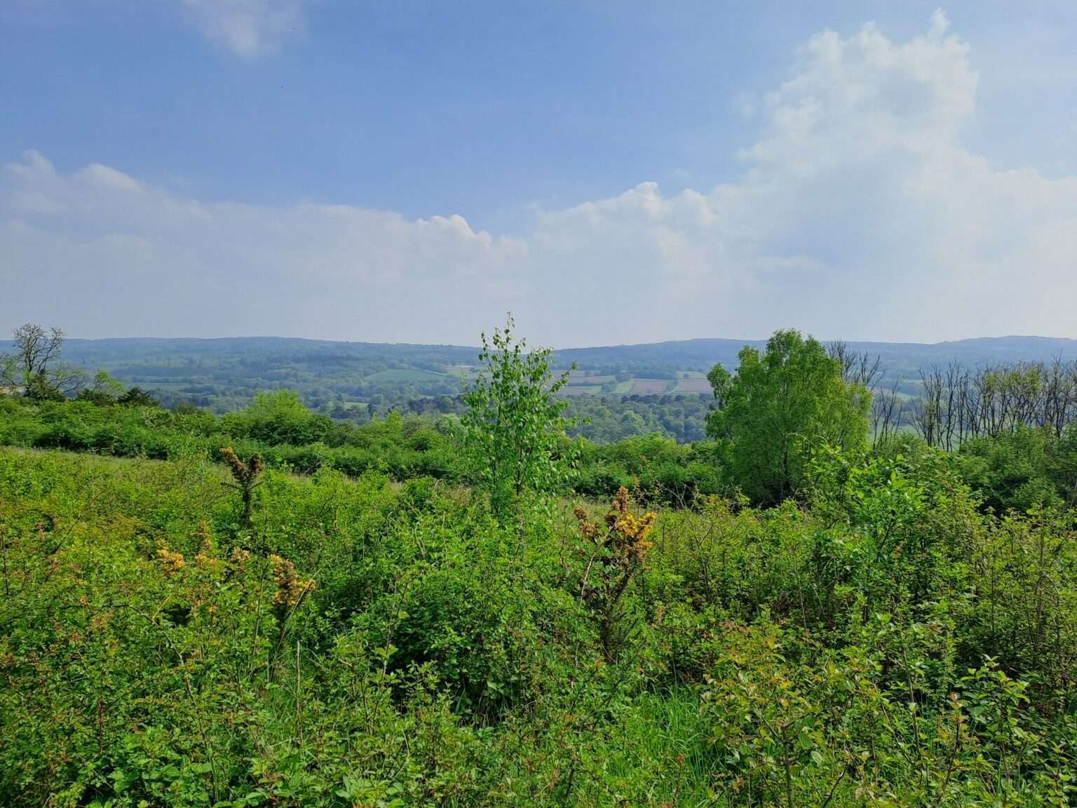 The North Downs Way | National Trail Guide (Updated 2026)