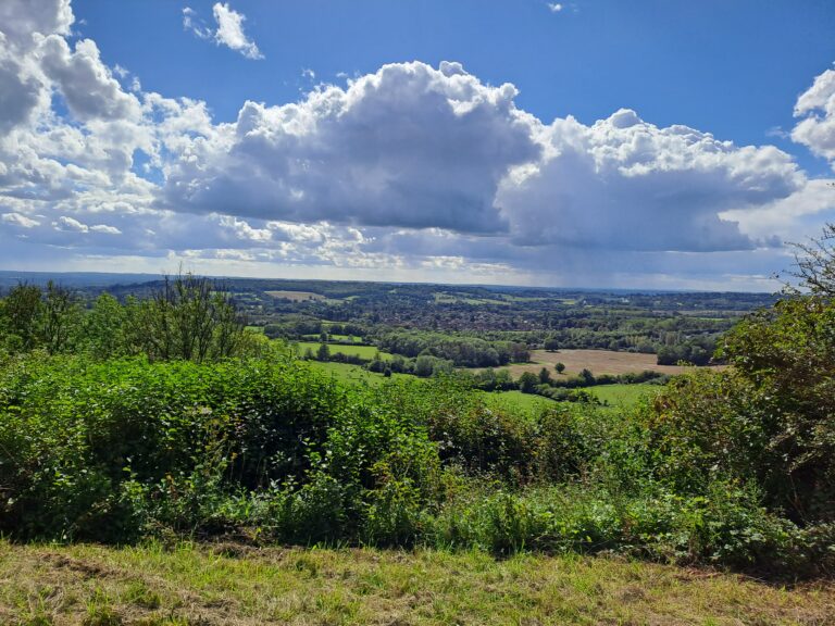 The North Downs Way | National Trail Guide (Updated 2026)