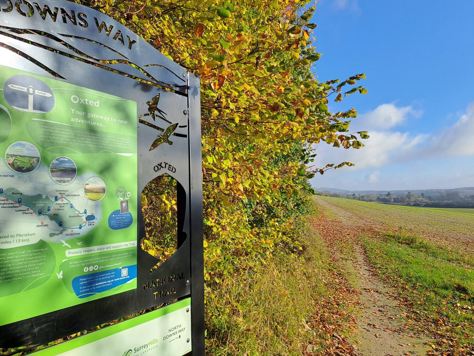 The North Downs Way | National Trail Guide (Updated 2026)
