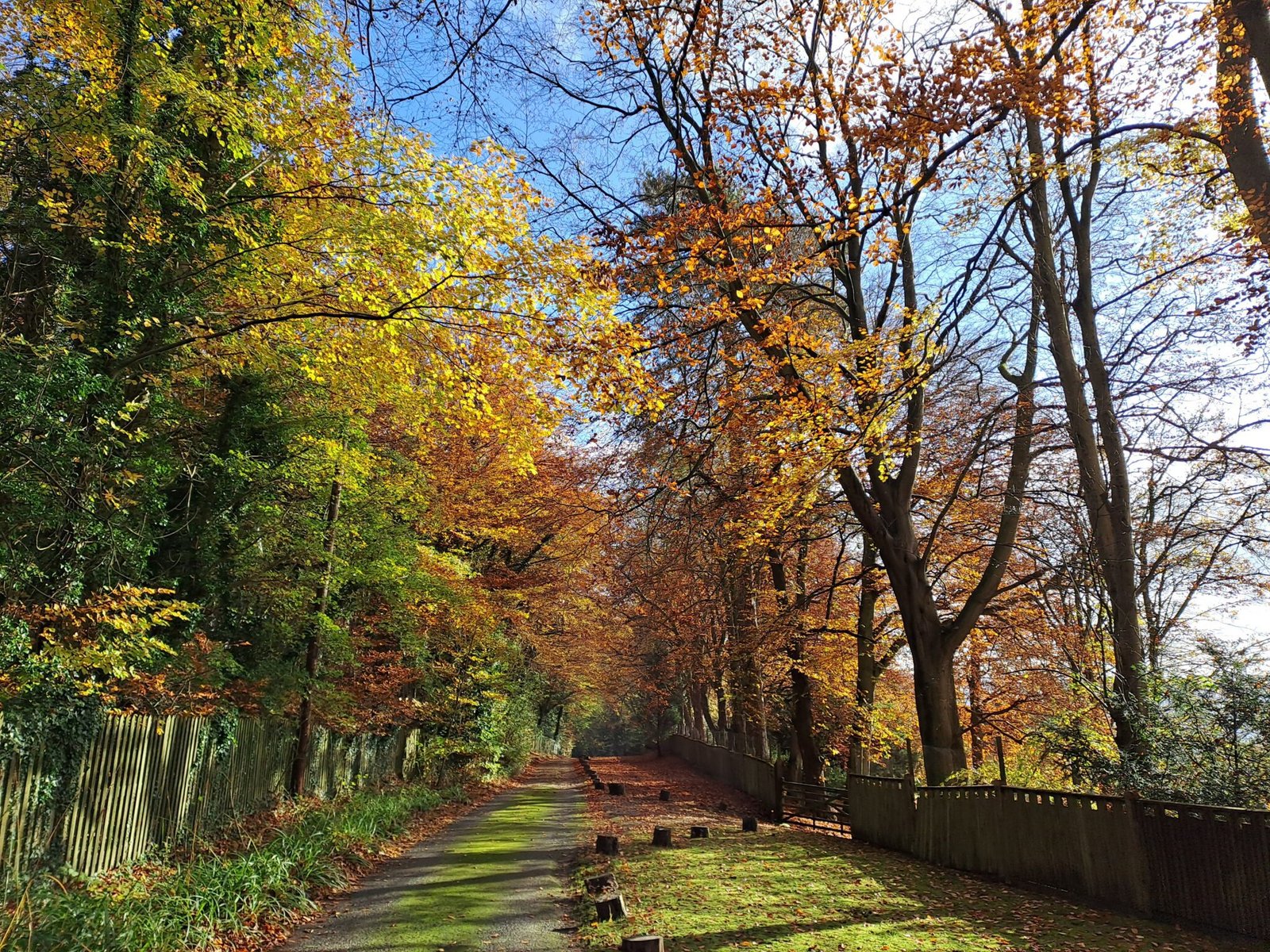 The North Downs Way | National Trail Guide (Updated 2026)